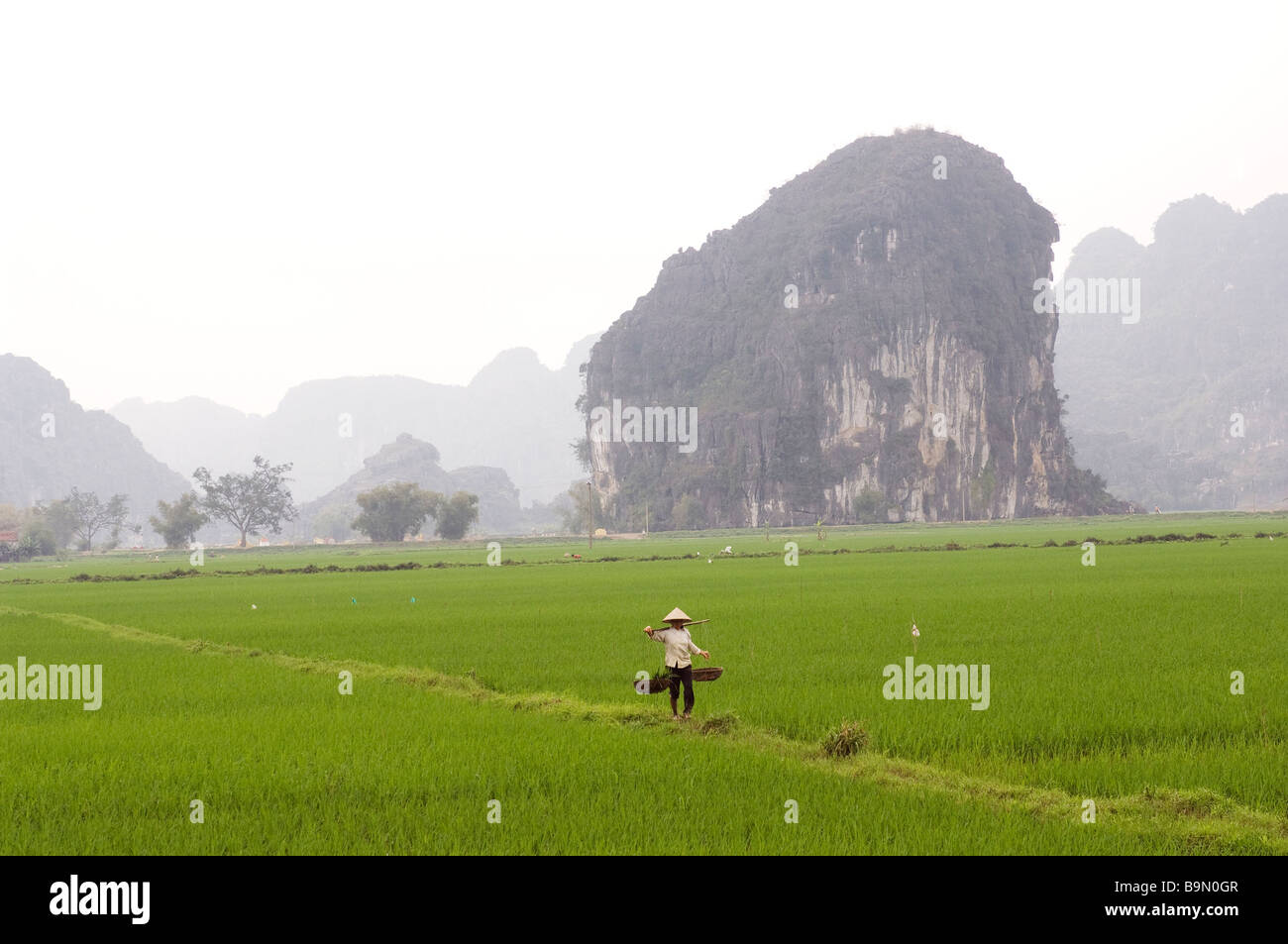 Thung nang valley hi-res stock photography and images - Alamy