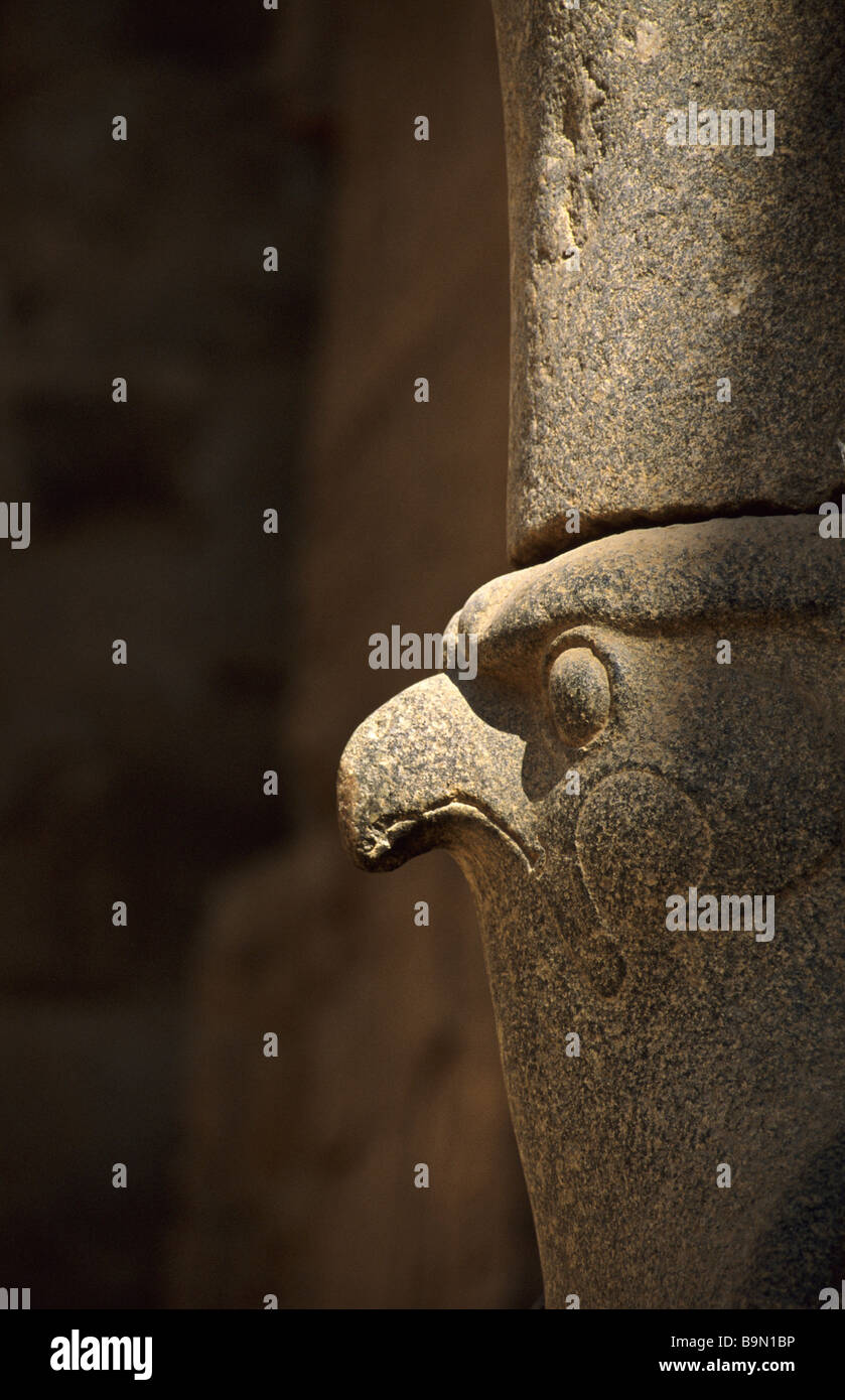 Egypt, Nile Valley, Edfu, Horus Temple, Horus' head Stock Photo - Alamy
