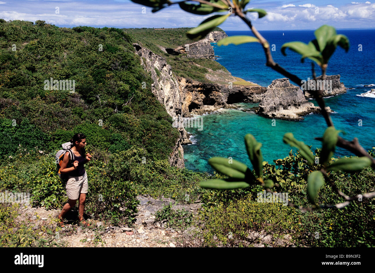 France, Guadeloupe (French West Indies), Ile de Marie Galante, Northern ...