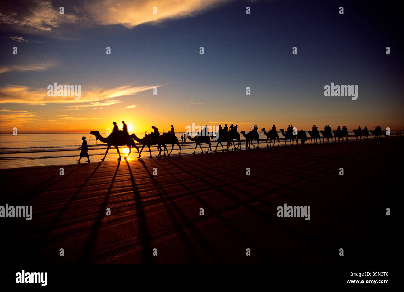 Australia, Western Australia, Broome, camel ride on Cable Beach Stock ...
