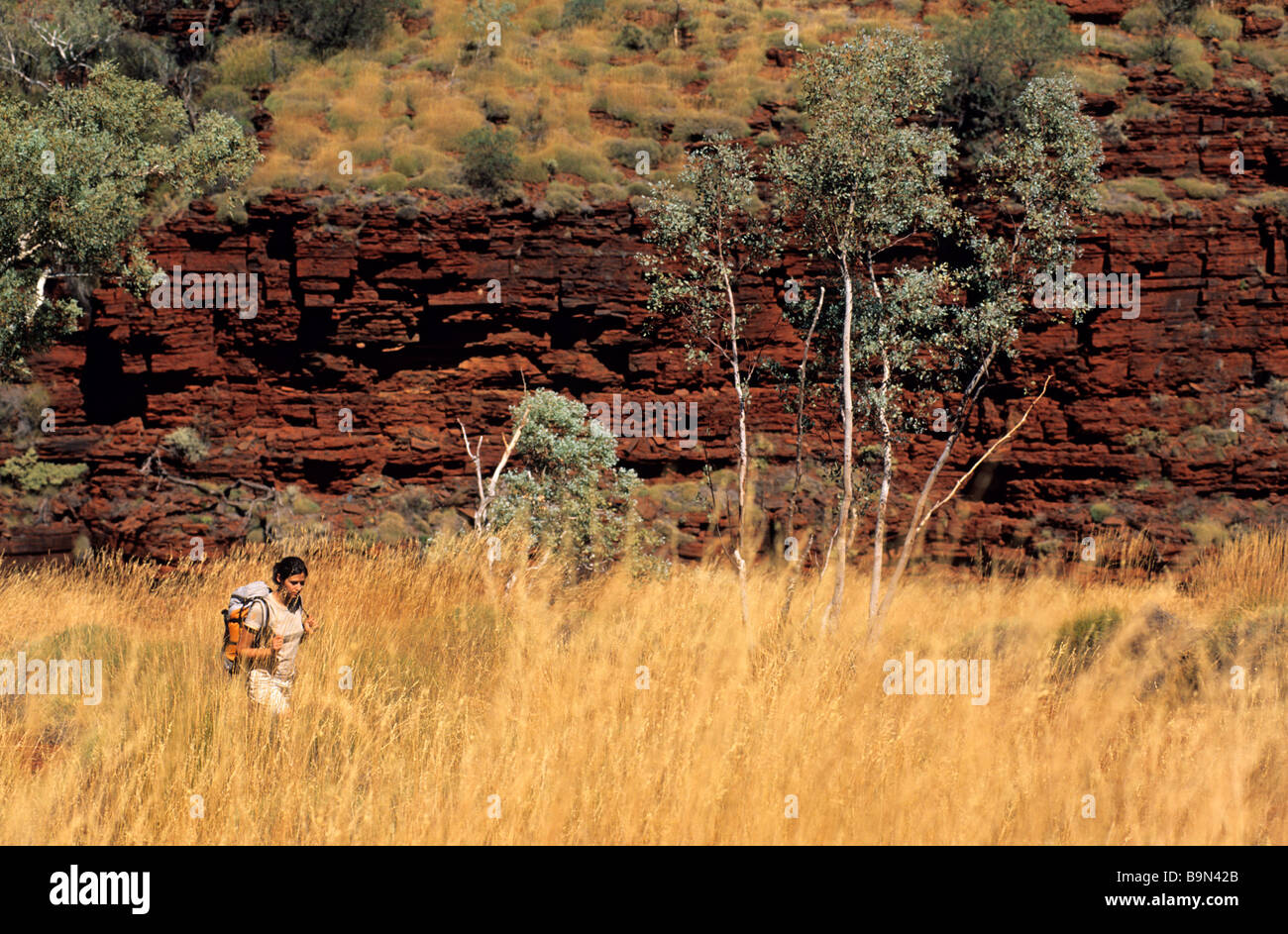 Australia, Western Australia, Pilbara territory, Karijini National Park ...