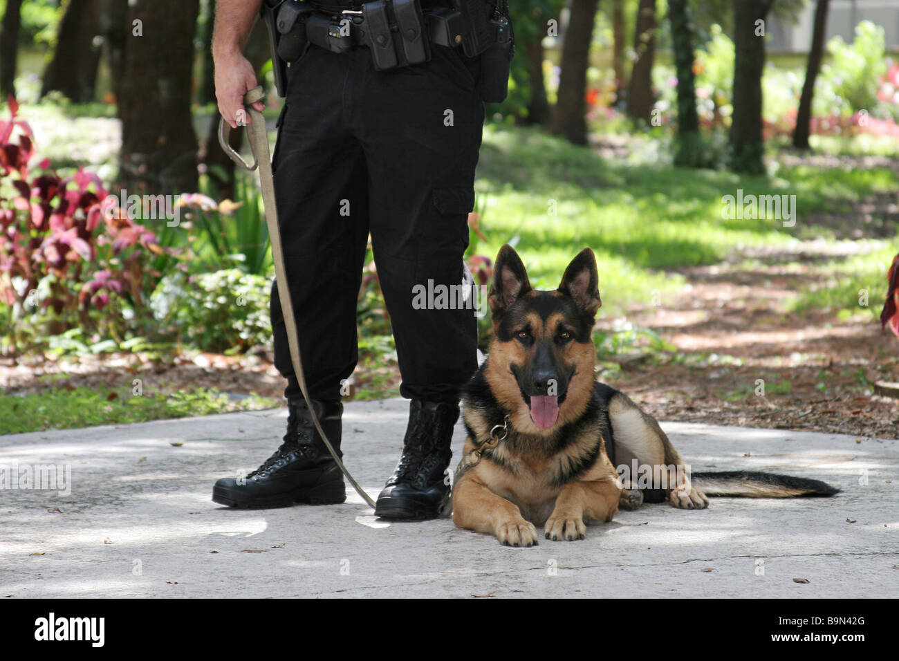 Drug sniffing dog with officer hi-res stock photography and images - Alamy