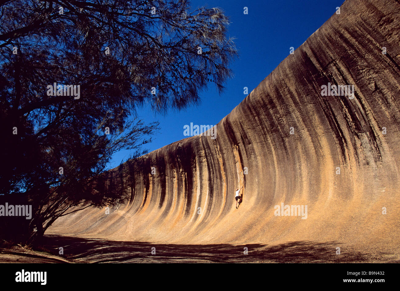 Australia, Western Australia, western part of Hyden, granitic cliff (15 ...