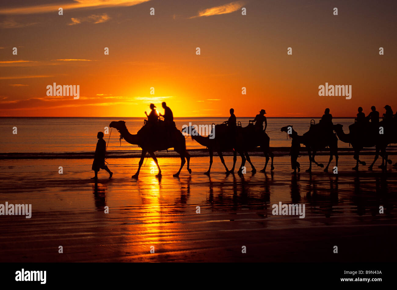 Australia, Western Australia, Broome, camel ride on Cable Beach Stock ...