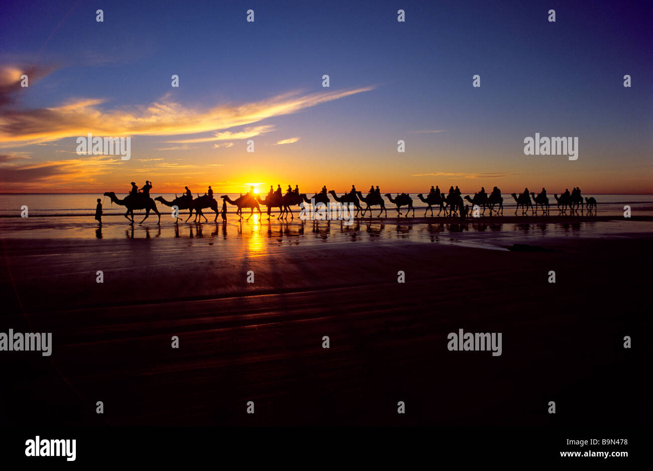 Australia, Western Australia, Broome, camel ride on Cable Beach Stock ...