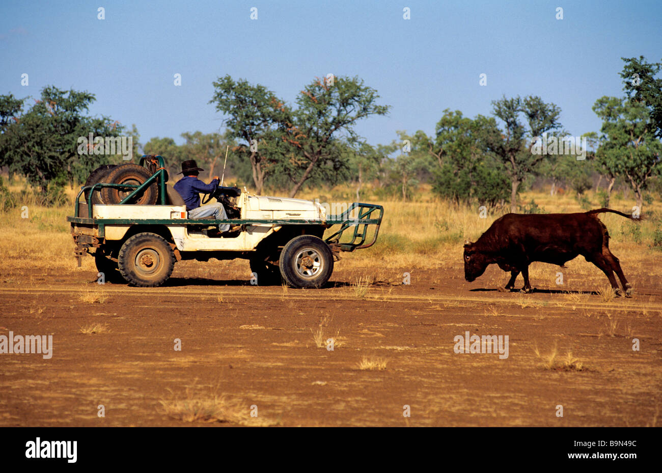 Australia, Western Australia, Kimberley region, Mornington Wildlife ...