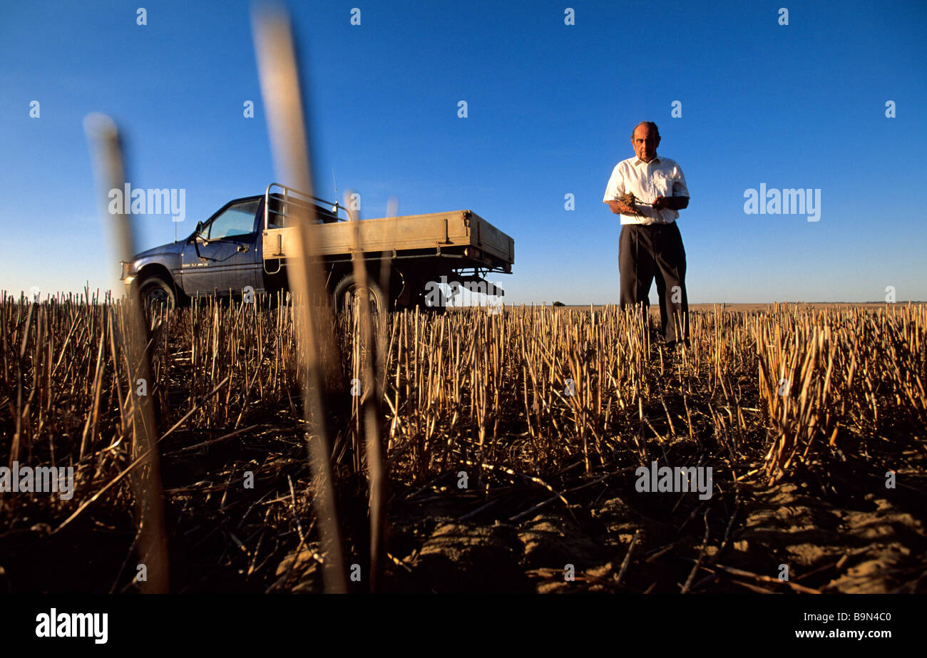 Australia, Western Australia, Principalty of Hutt River, Nain, the ...
