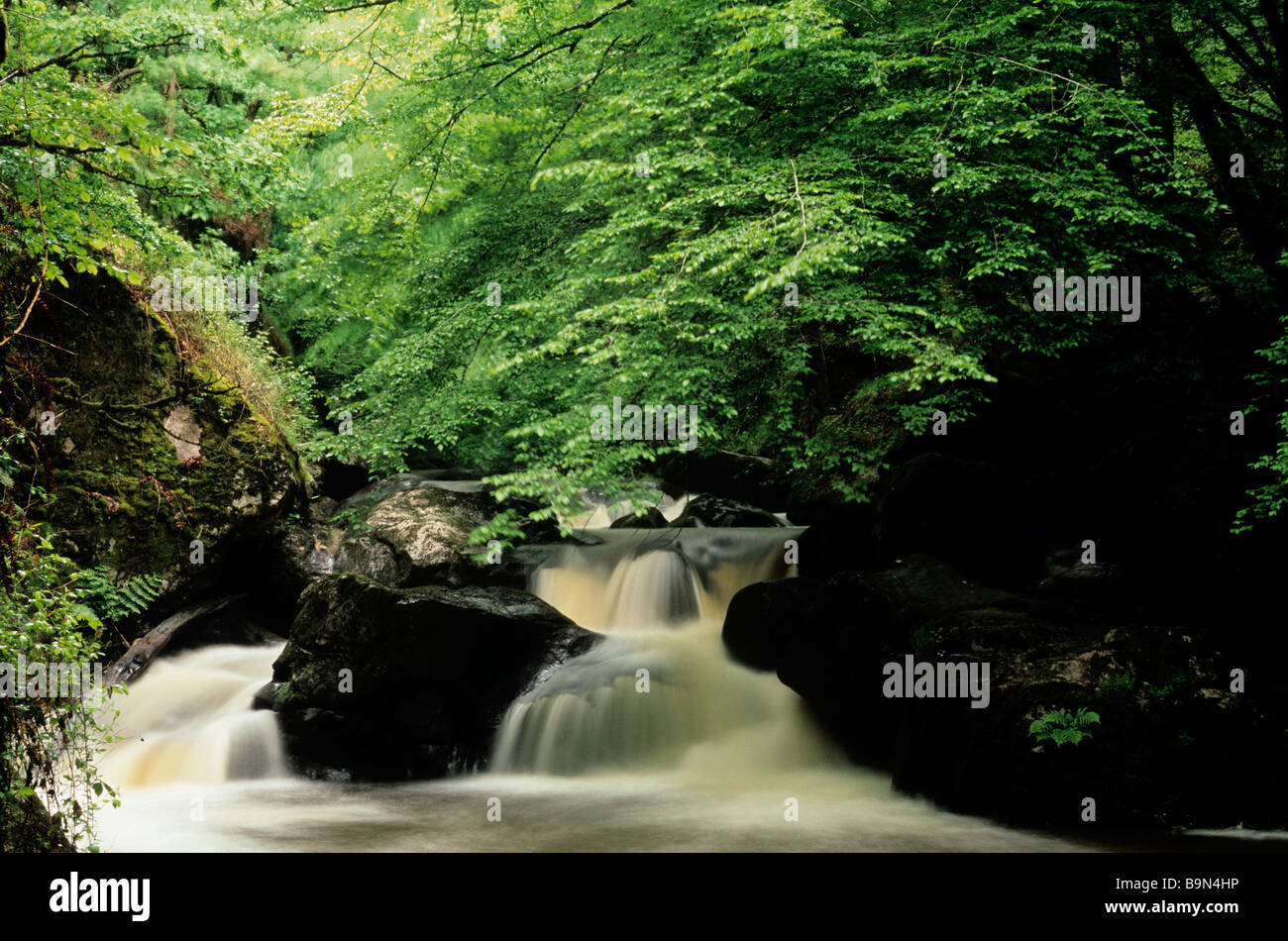 France, Dordogne, Perigord Vert, Parc Naturel Regional Perigord ...