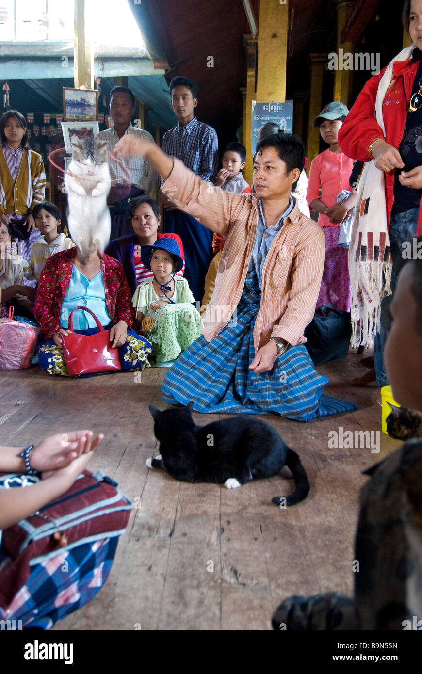 Myanmar (Burma), Shan state, Inle lake, Jumping Cat Monastery Tchang ...
