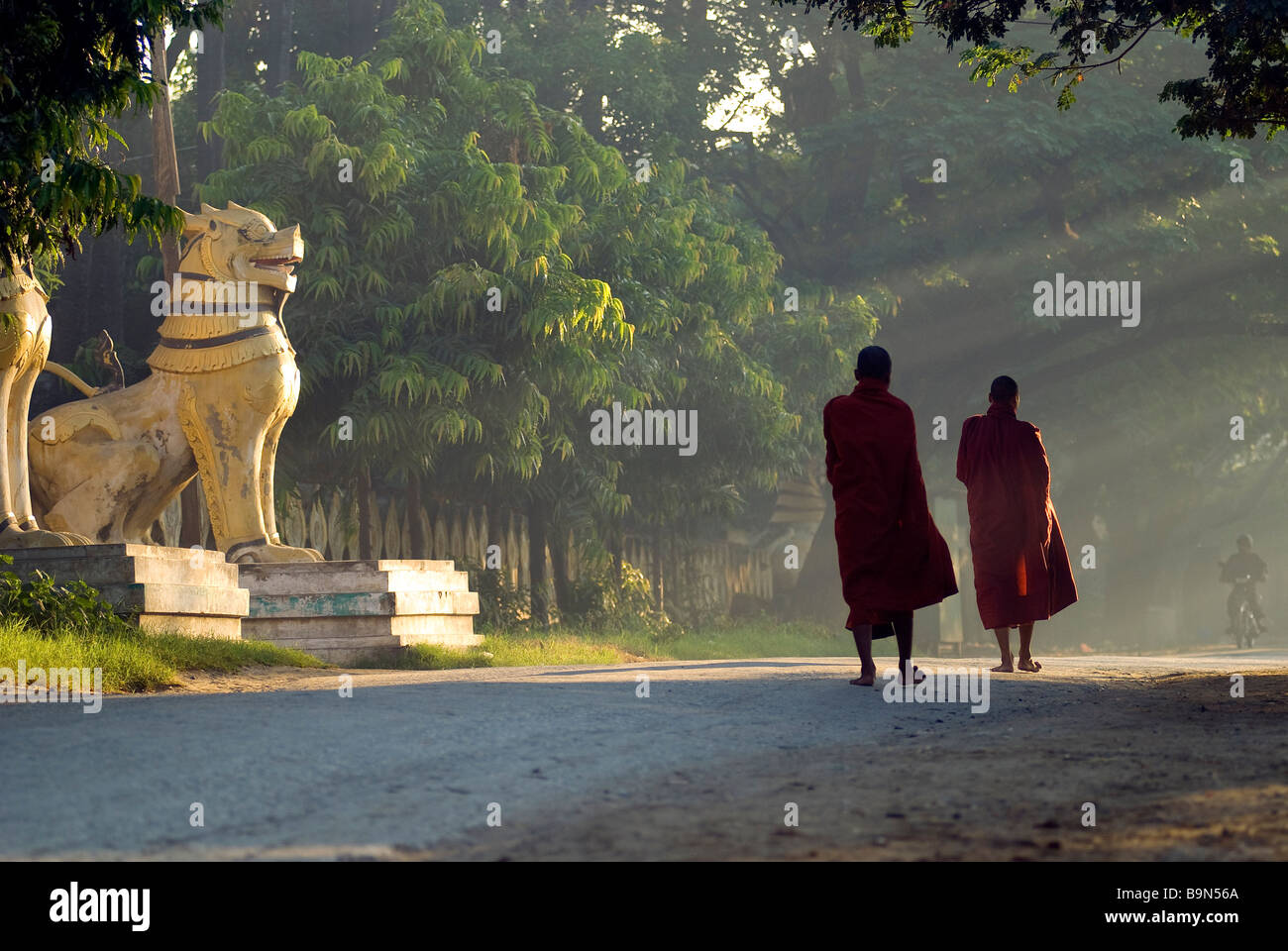 Myanmar (Burma), Mandalay division, Mandalay, monks of the Shwe In Binh ...