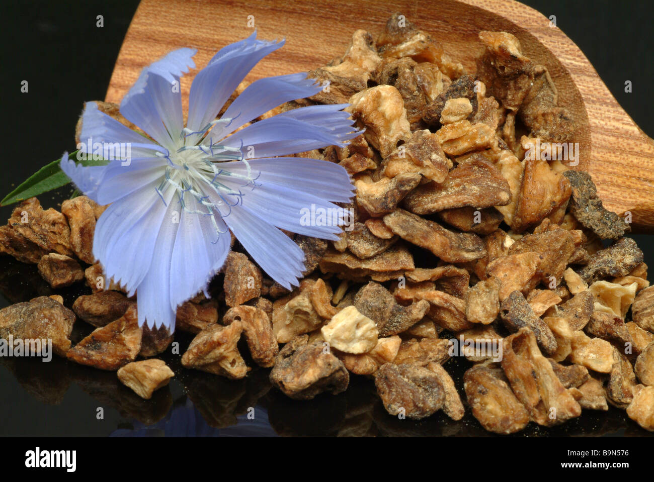 Daisy roots hi-res stock photography and images - Alamy