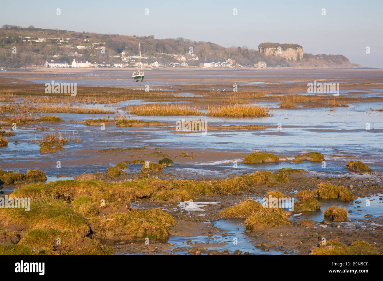 Habitats in salt marshes hi-res stock photography and images - Alamy