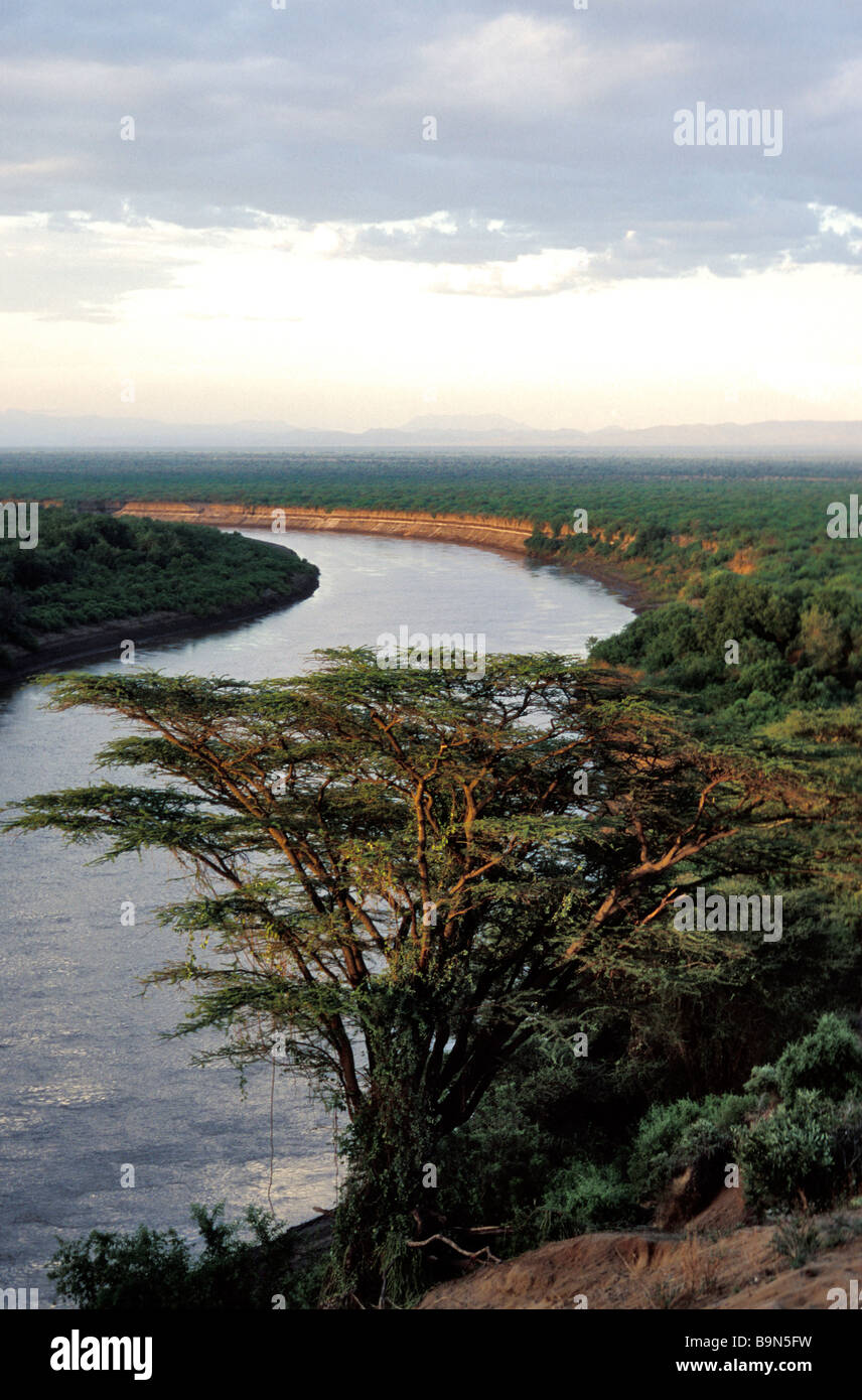 Ethiopia, Omo Valley, acacia tree on the Omo River banks Stock Photo ...