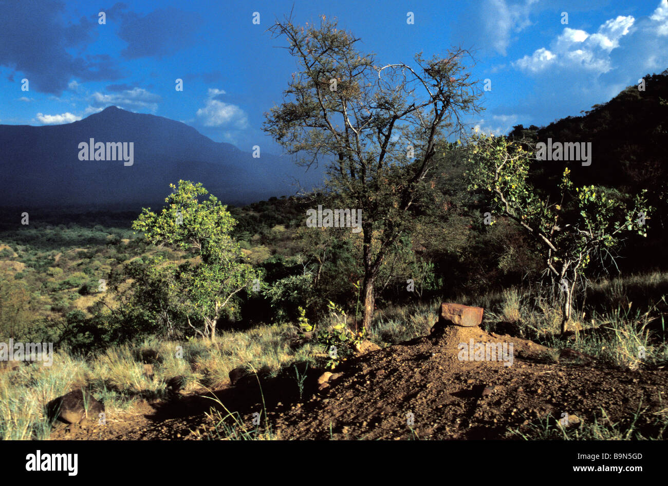 Ethiopia, landscape of the Lower Omo Valley, classified as World ...