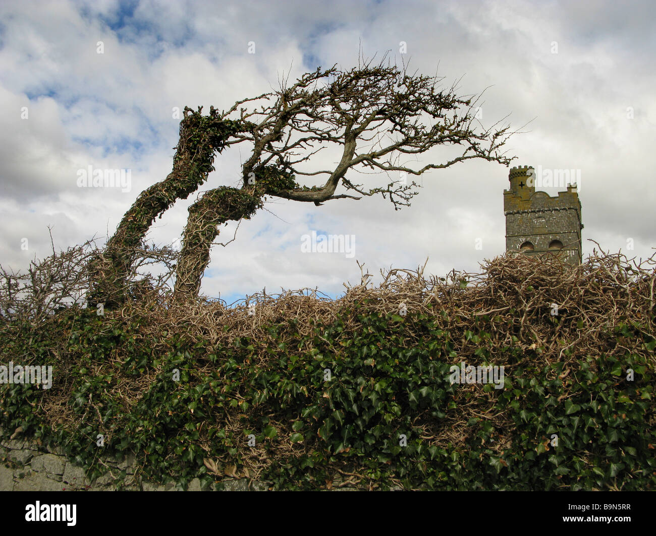 The Coo Palace, Corseyard Farm Borgue, Dumfries and Galloway. Now being ...