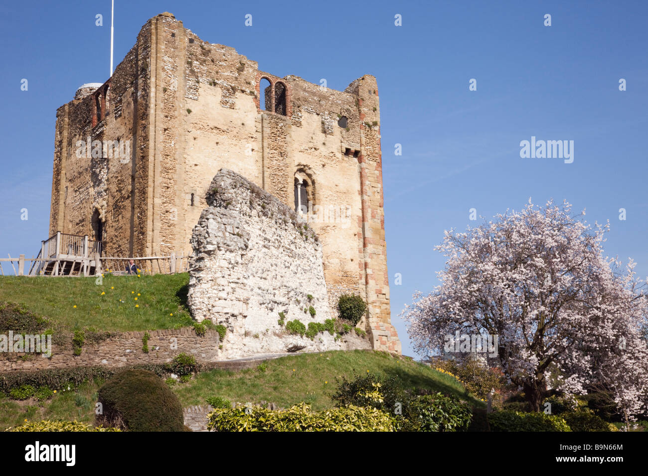 Guildford Surrey England UK Guildford Castle 12th century tower Keep in ...