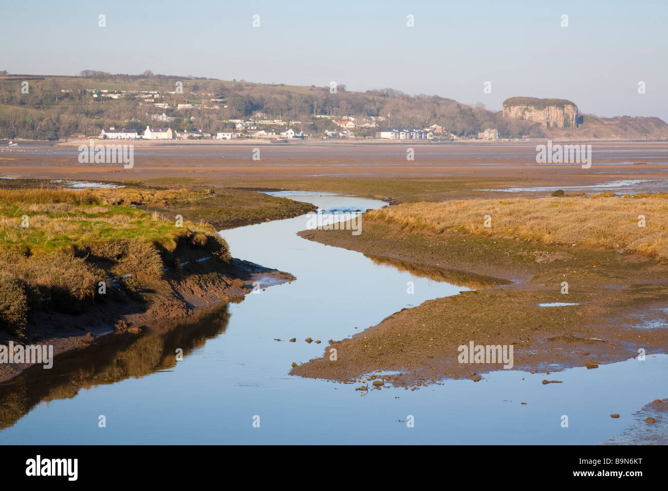 Afon Nodwydd River channel through coastal salt marsh saltings at low ...