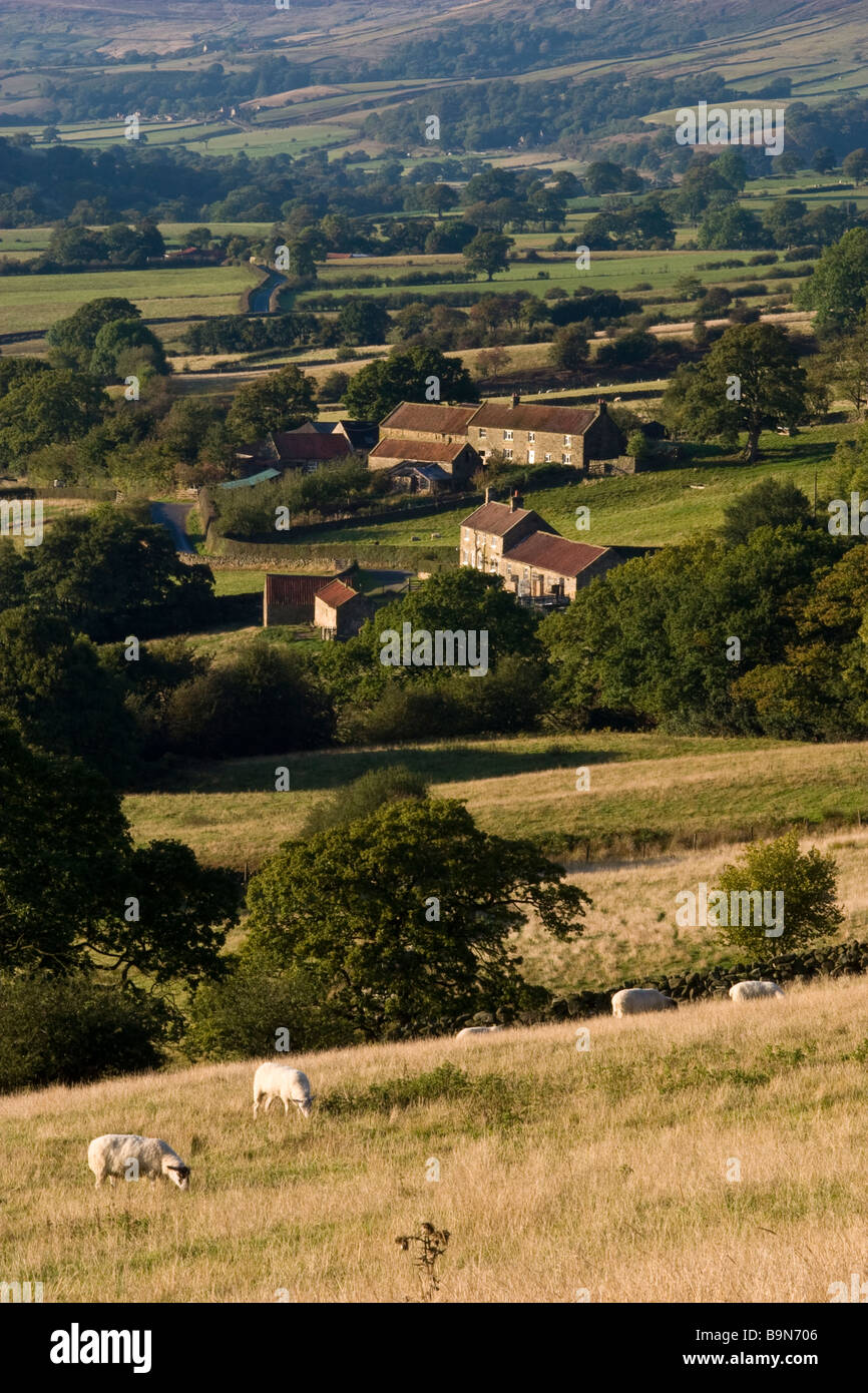 Farndale view hi-res stock photography and images - Alamy
