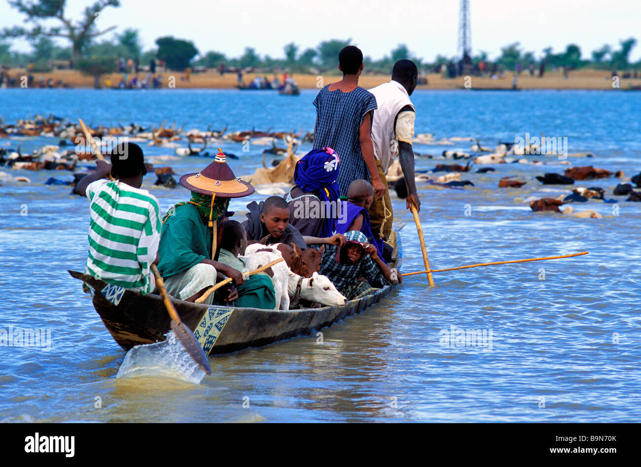 Sofara High Resolution Stock Photography and Images - Alamy