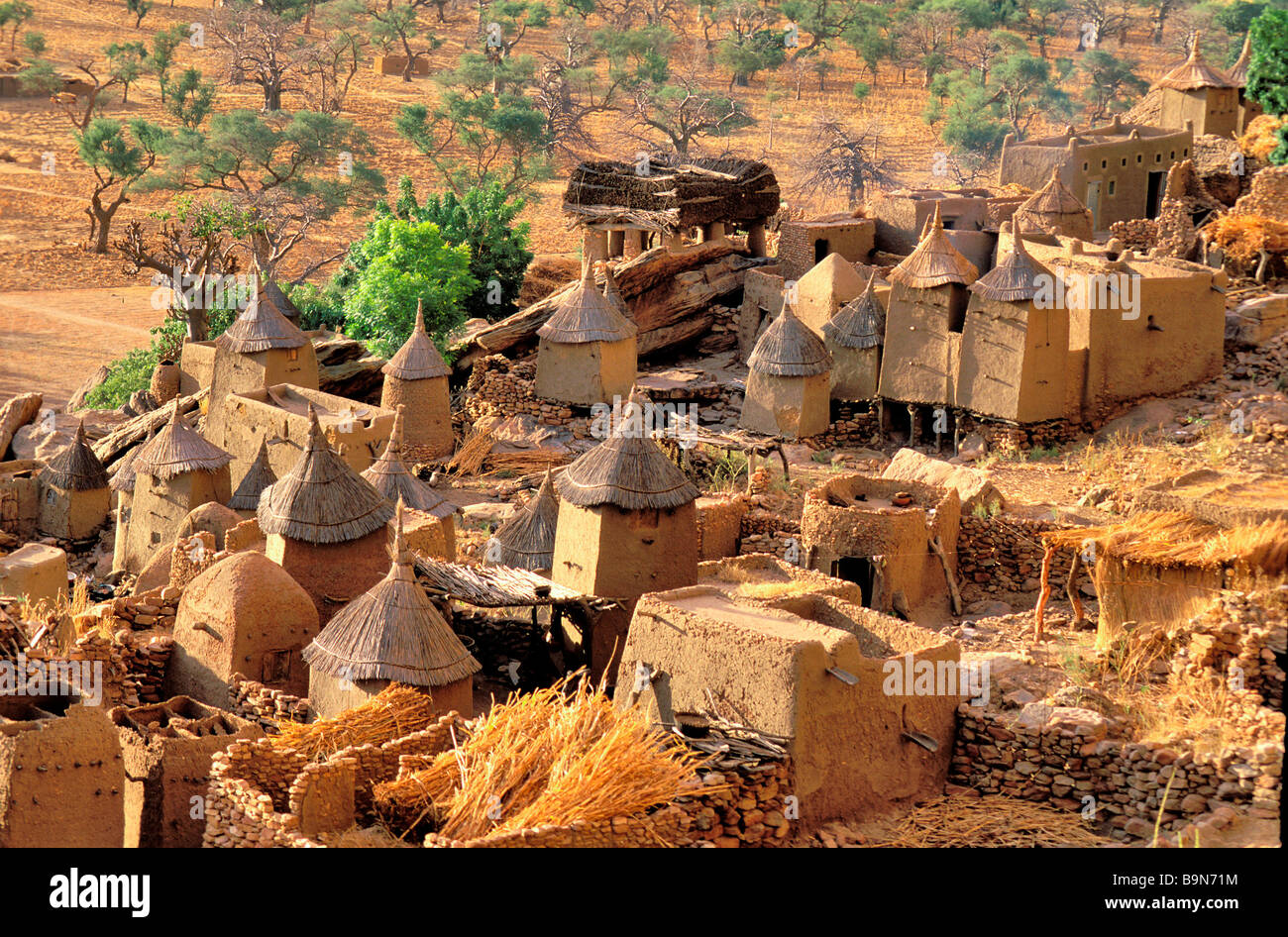 Mali, Dogon country, Sangha region, Tereli village Stock Photo - Alamy