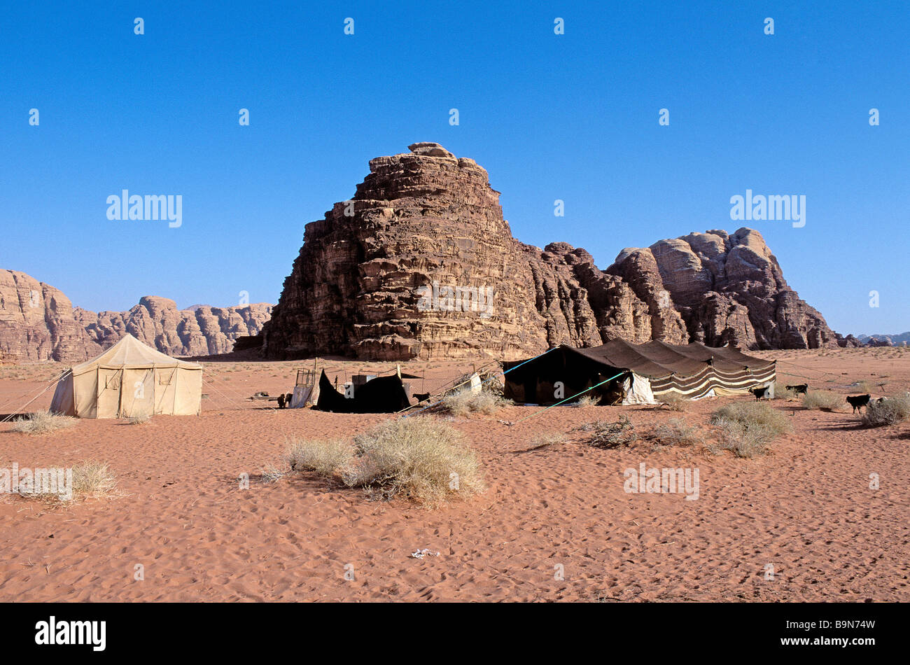 Bedouins tent hi-res stock photography and images - Alamy
