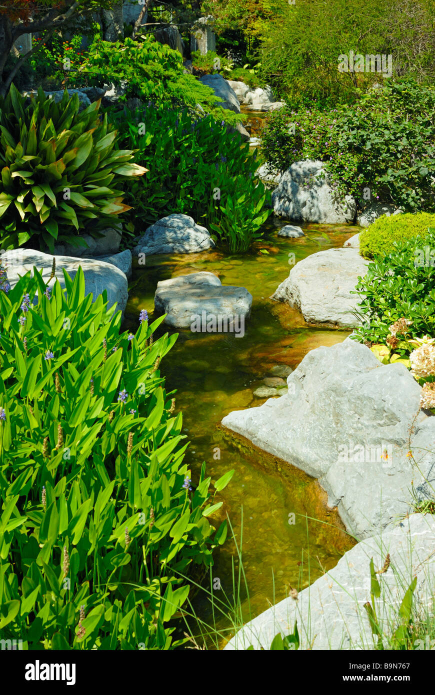 Beautiful garden with pond Stock Photo - Alamy