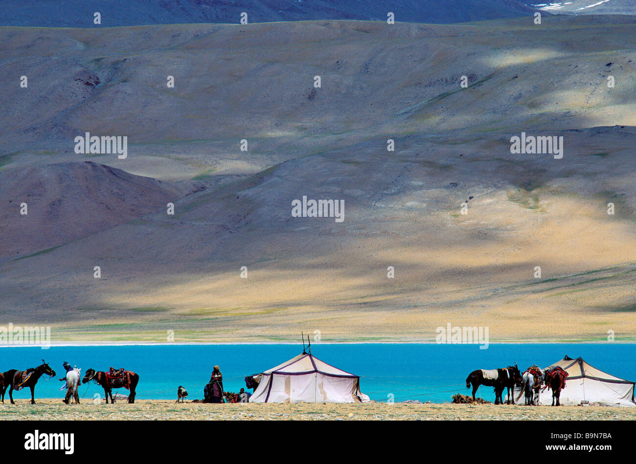 India, Jammu and Kashmir, Ladakh, Changtang Plateau, Chang Pa Nomads ...