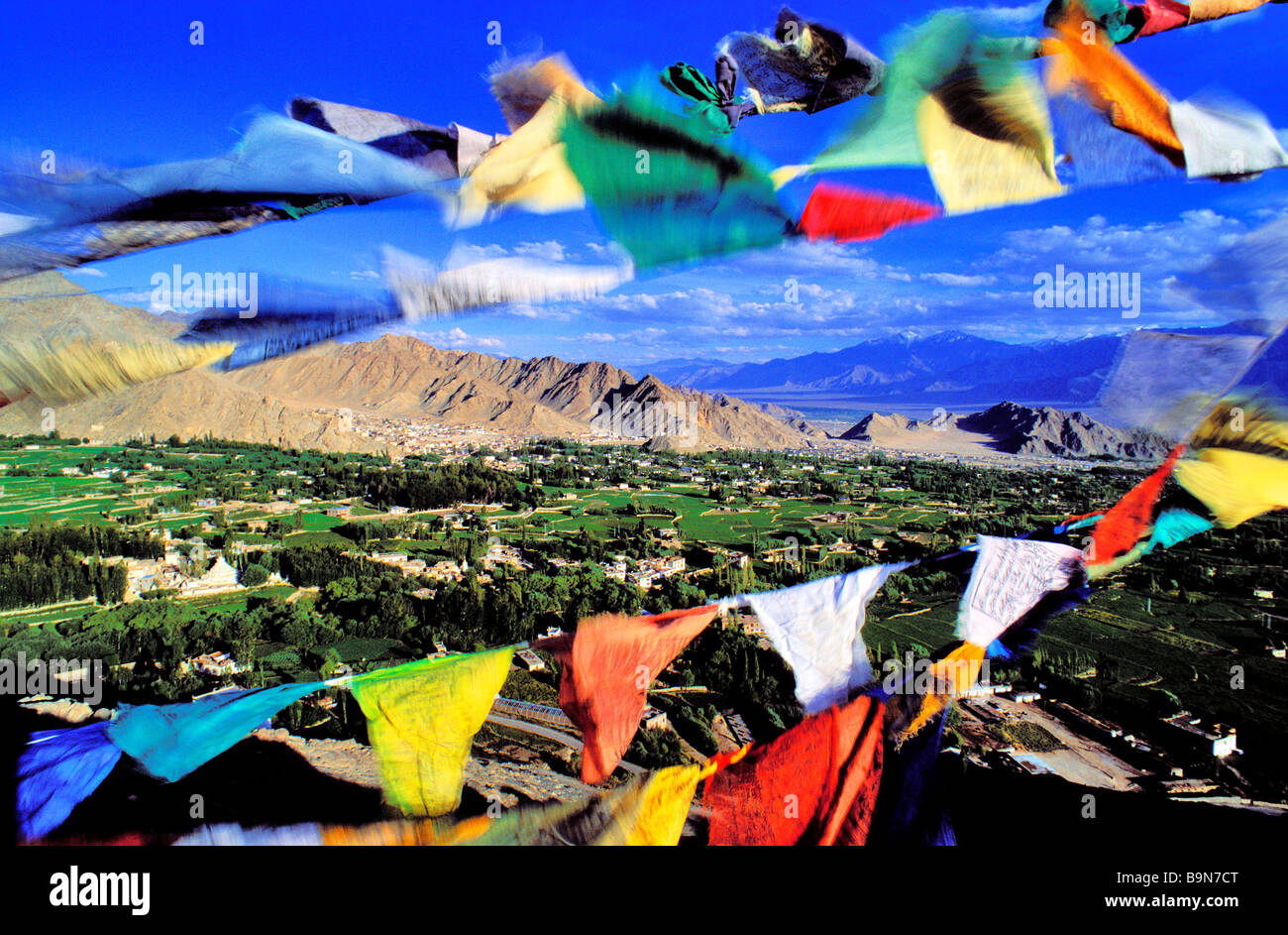 India, Jammu and Kashmir, Ladakh, Leh Valley, prayer flags Stock Photo ...