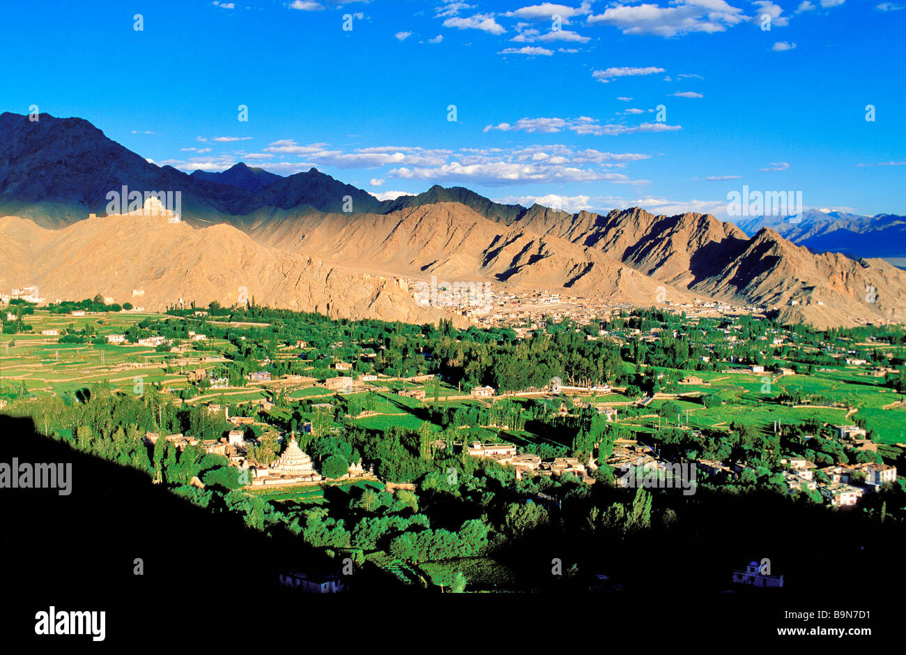 India, Jammu and Kashmir, Ladakh, Leh Valley Stock Photo - Alamy