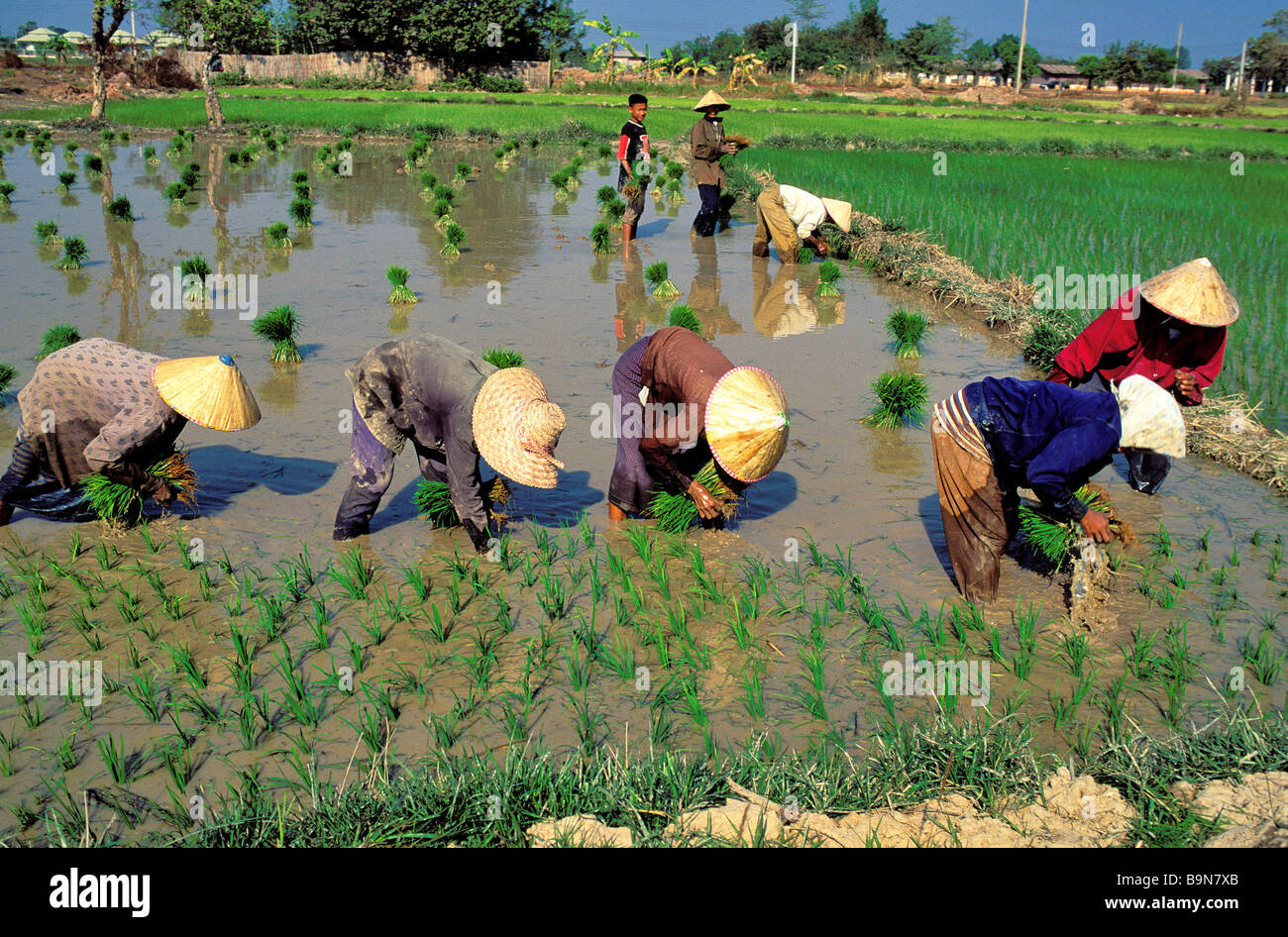 Vietiane laos hi-res stock photography and images - Alamy