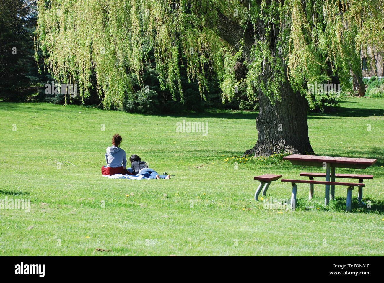 Couple lying on grass under tree hi-res stock photography and images ...
