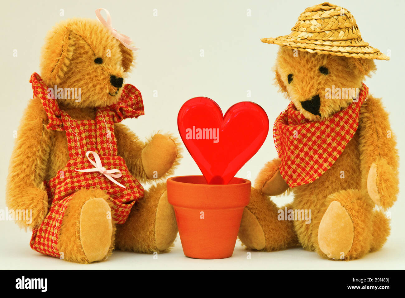 Miniature teddy love flower (Mini Bear Collection Stock Photo - Alamy
