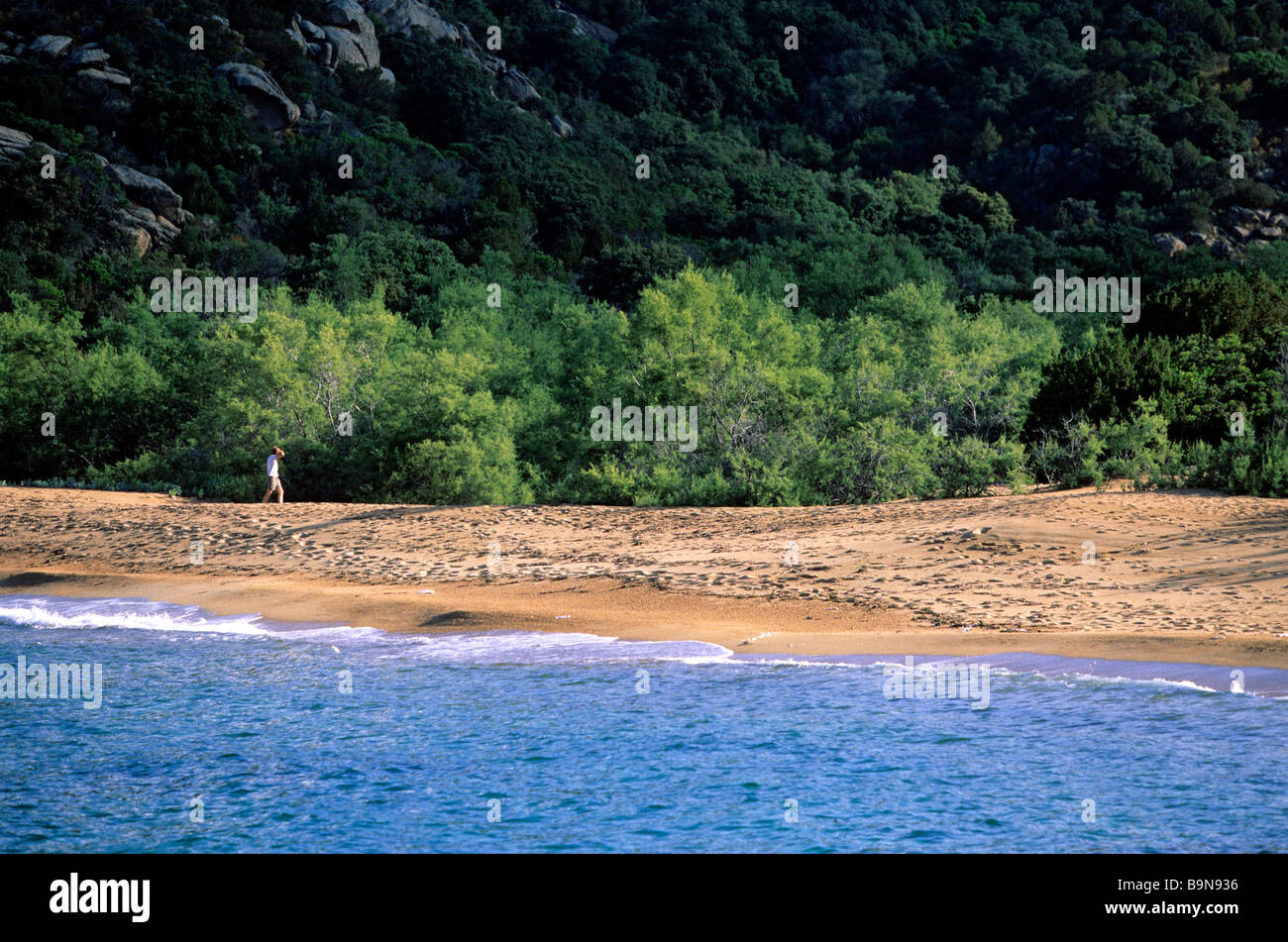 France, Corse du Sud, north of Tizzano, Cala di Tivella Stock Photo - Alamy