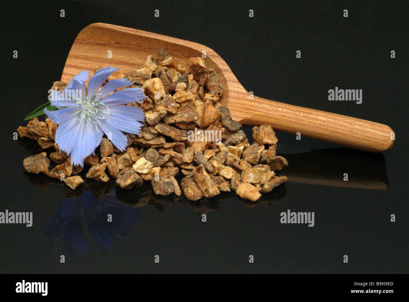 Daisy roots hi-res stock photography and images - Alamy