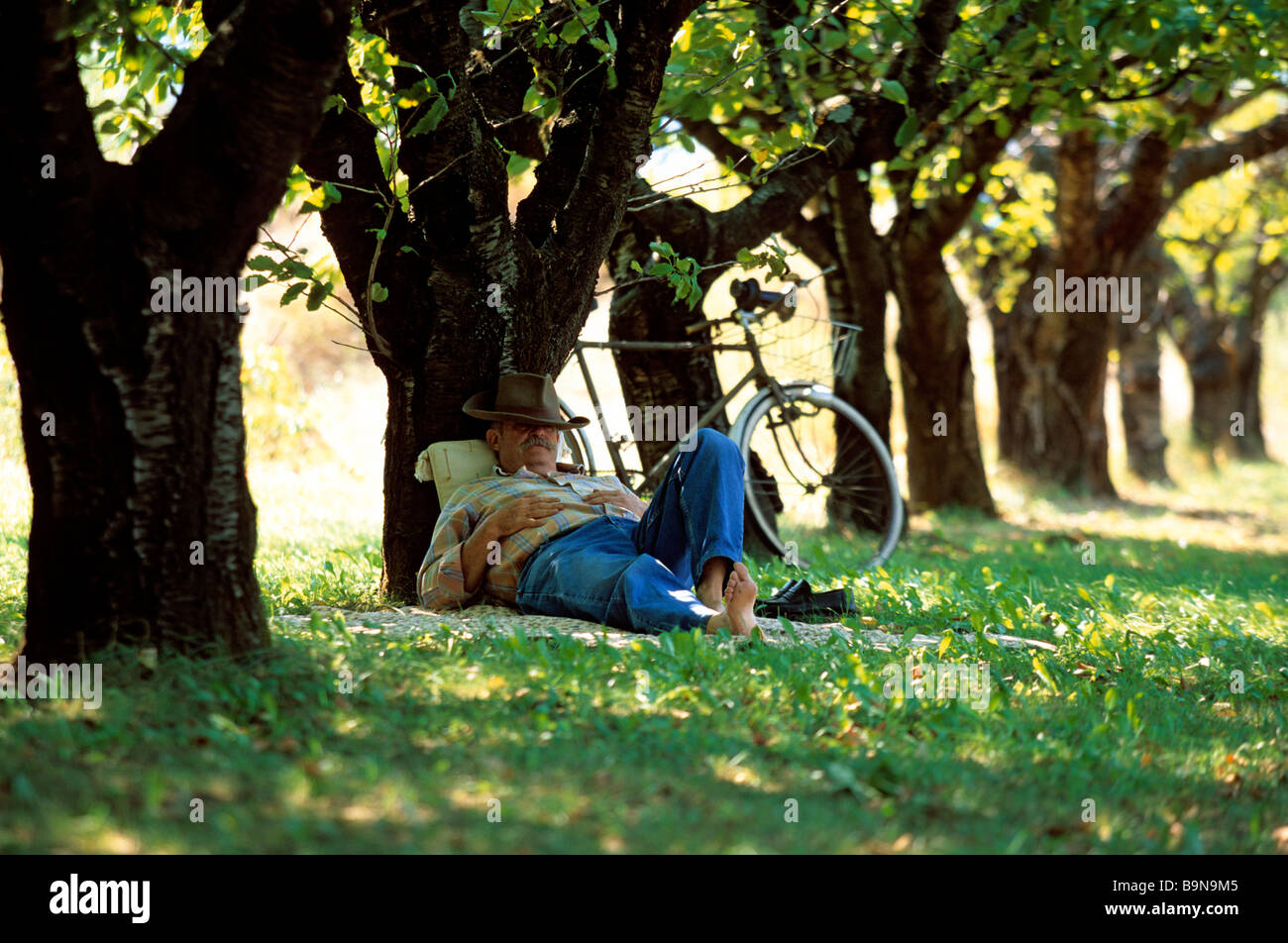 Man lying under trees hi-res stock photography and images - Alamy