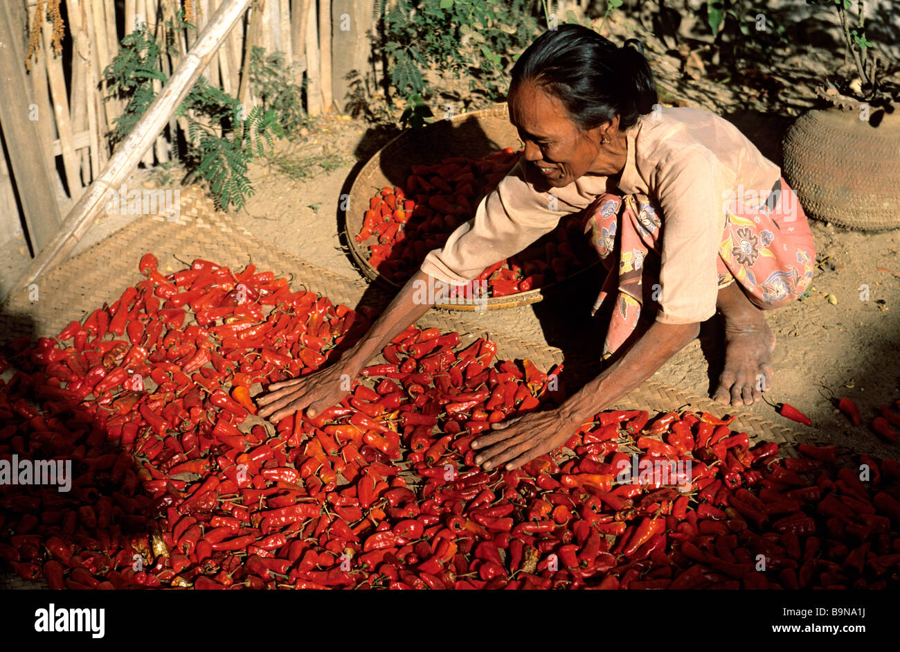Myanmar (Burma), drying red hot chili peppers Stock Photo - Alamy