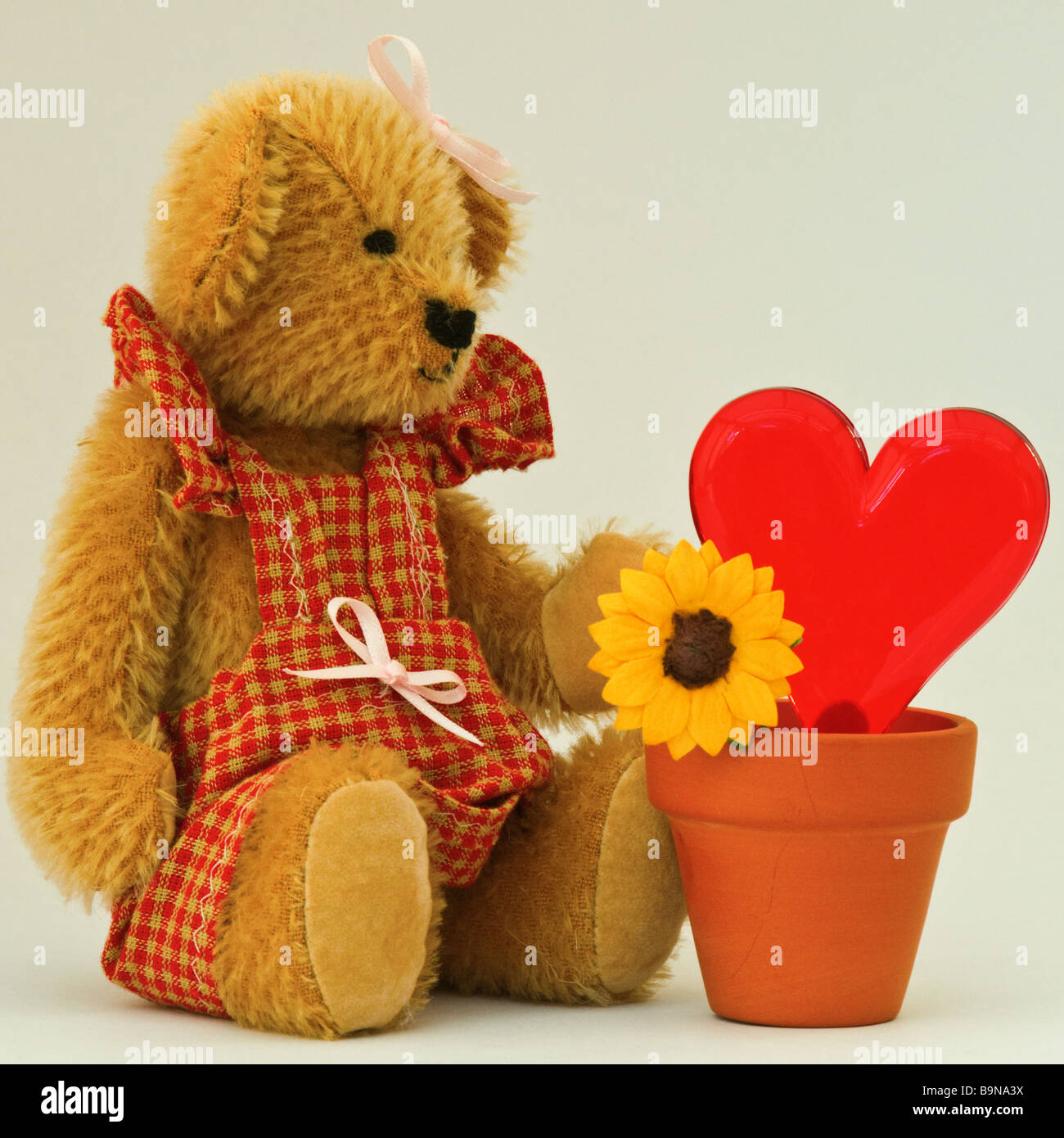 Miniature teddy love flower (Mini Bear Collection Stock Photo - Alamy