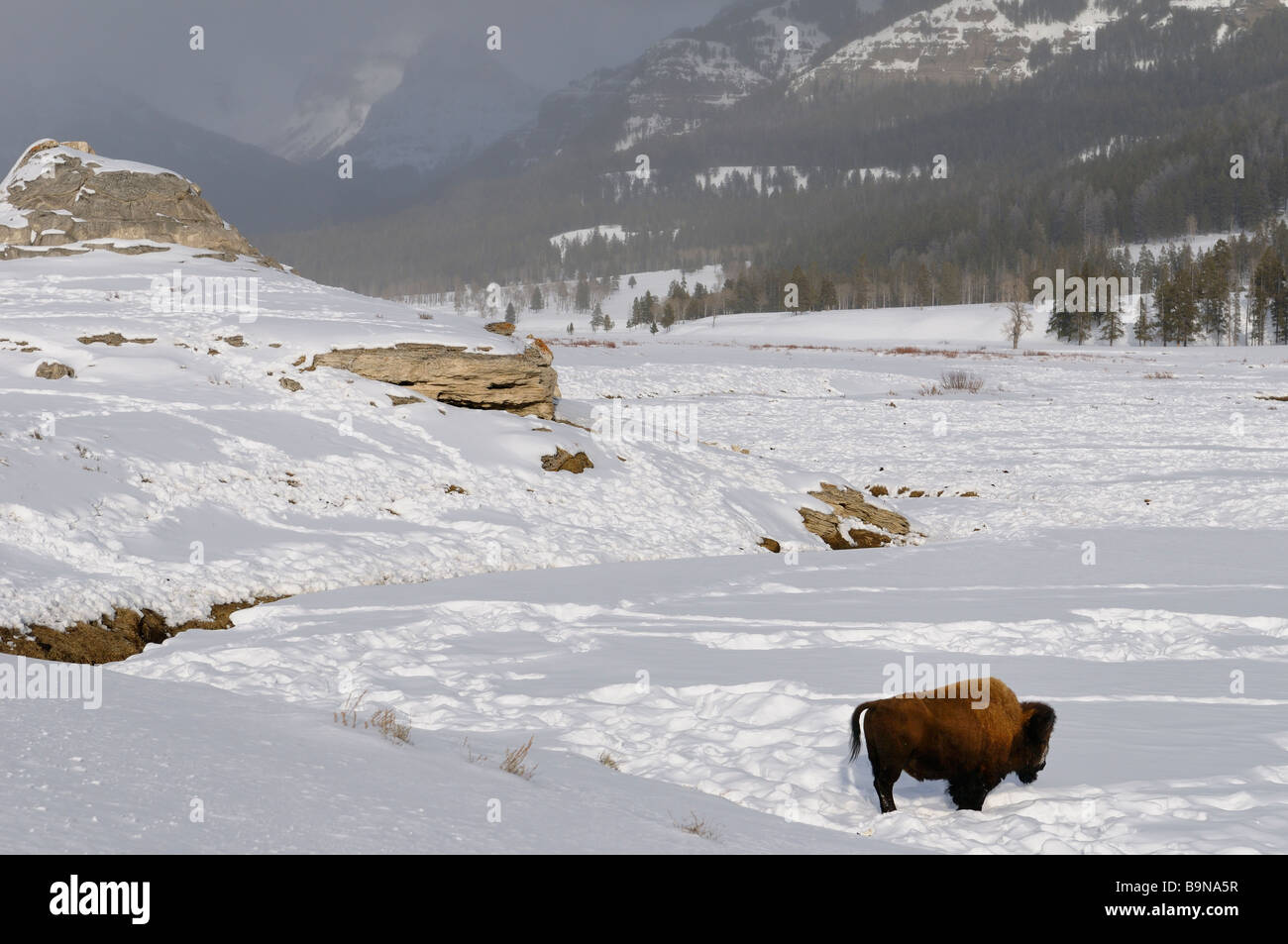 Soda butte hi-res stock photography and images - Alamy