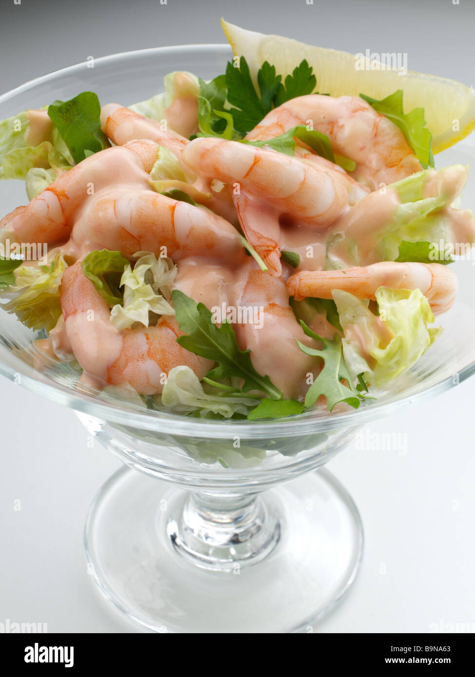 King prawn cocktail Stock Photo - Alamy