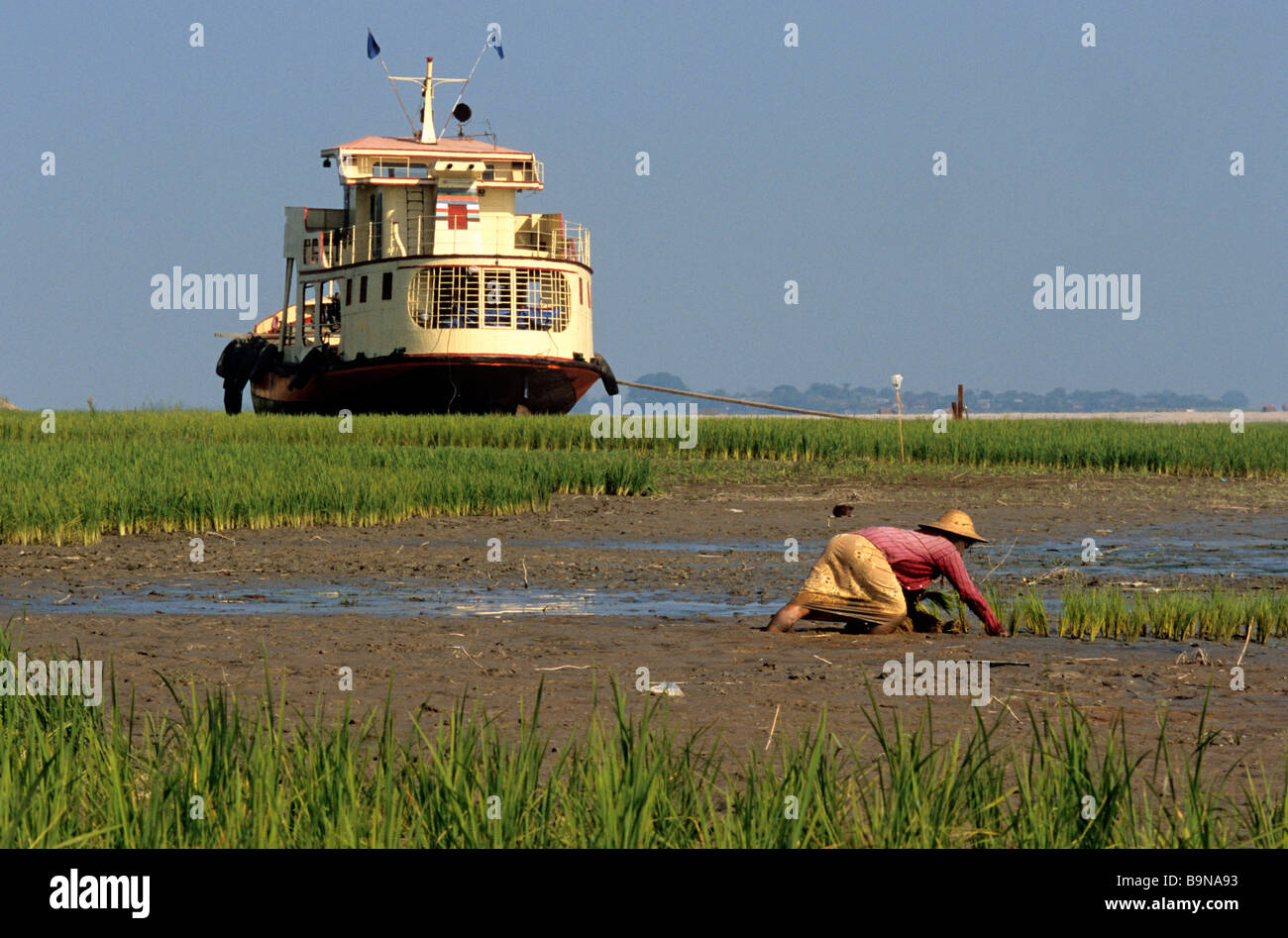 Myanmar (Burma), daily life in the delta of Irrawaddy River Stock Photo ...