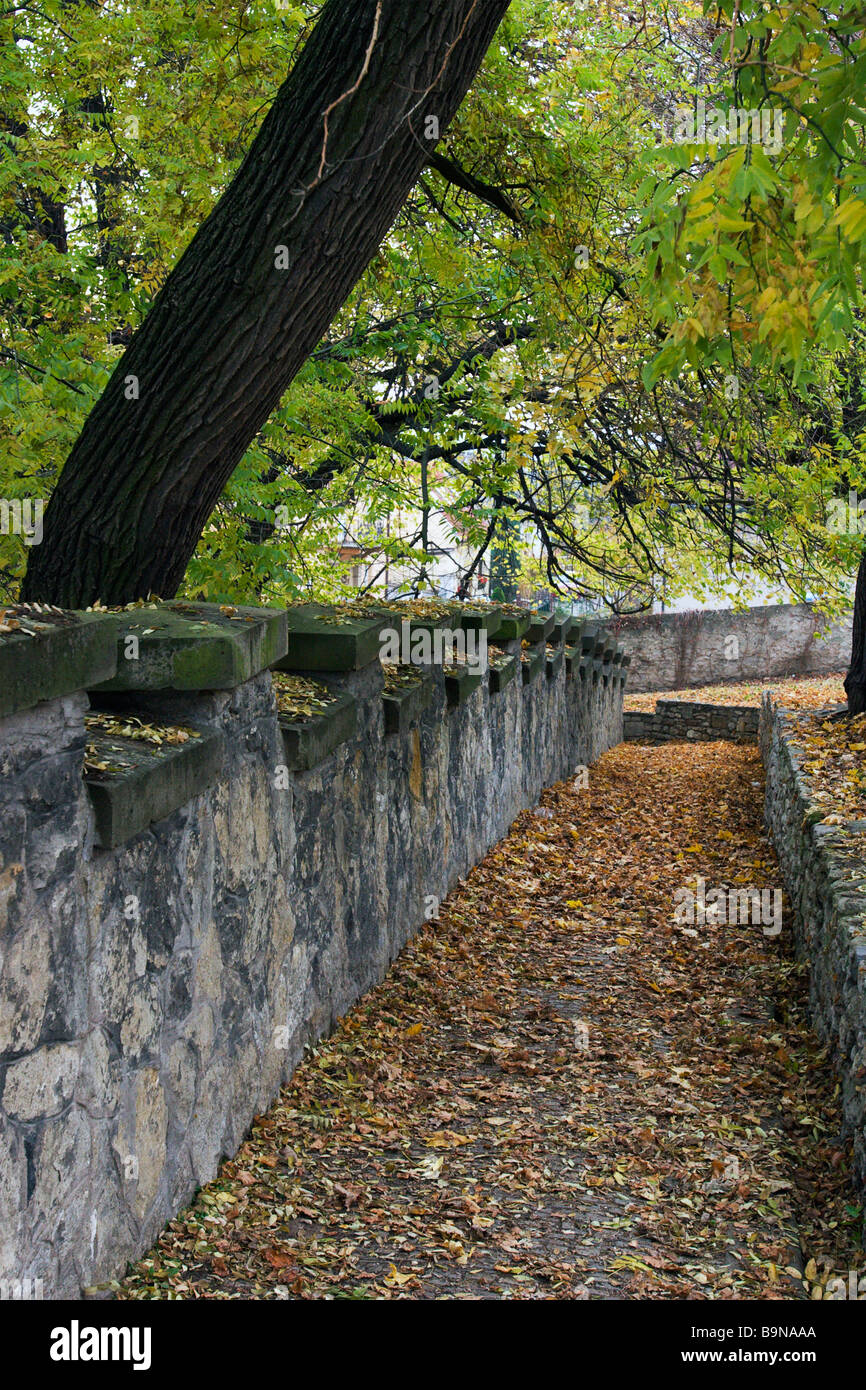 Autumn pathway going under the tree Stock Photo - Alamy