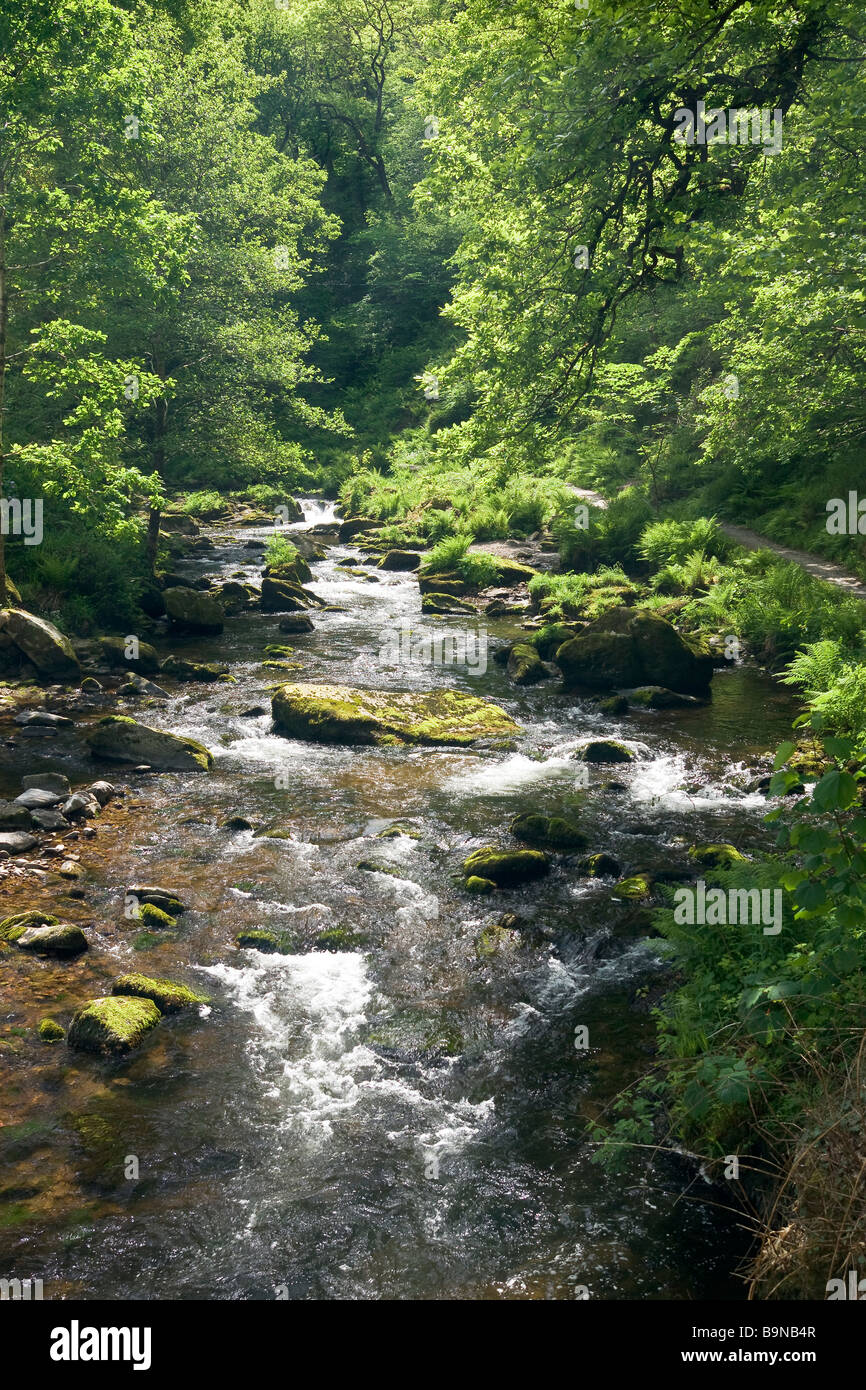 The small river at Watersmeet, Devon Stock Photo - Alamy