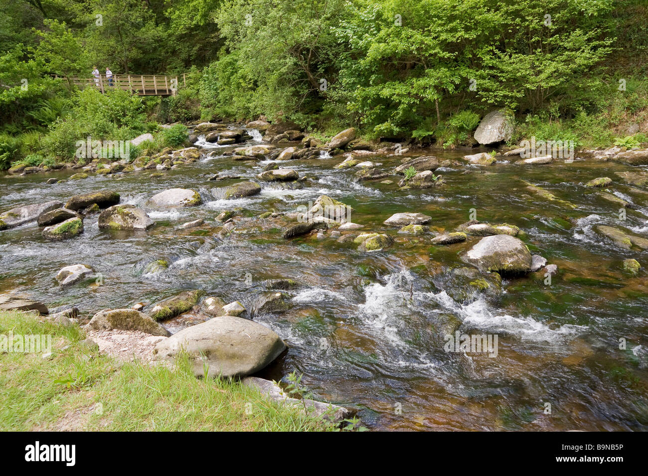 The small river at Watersmeet, Devon Stock Photo - Alamy