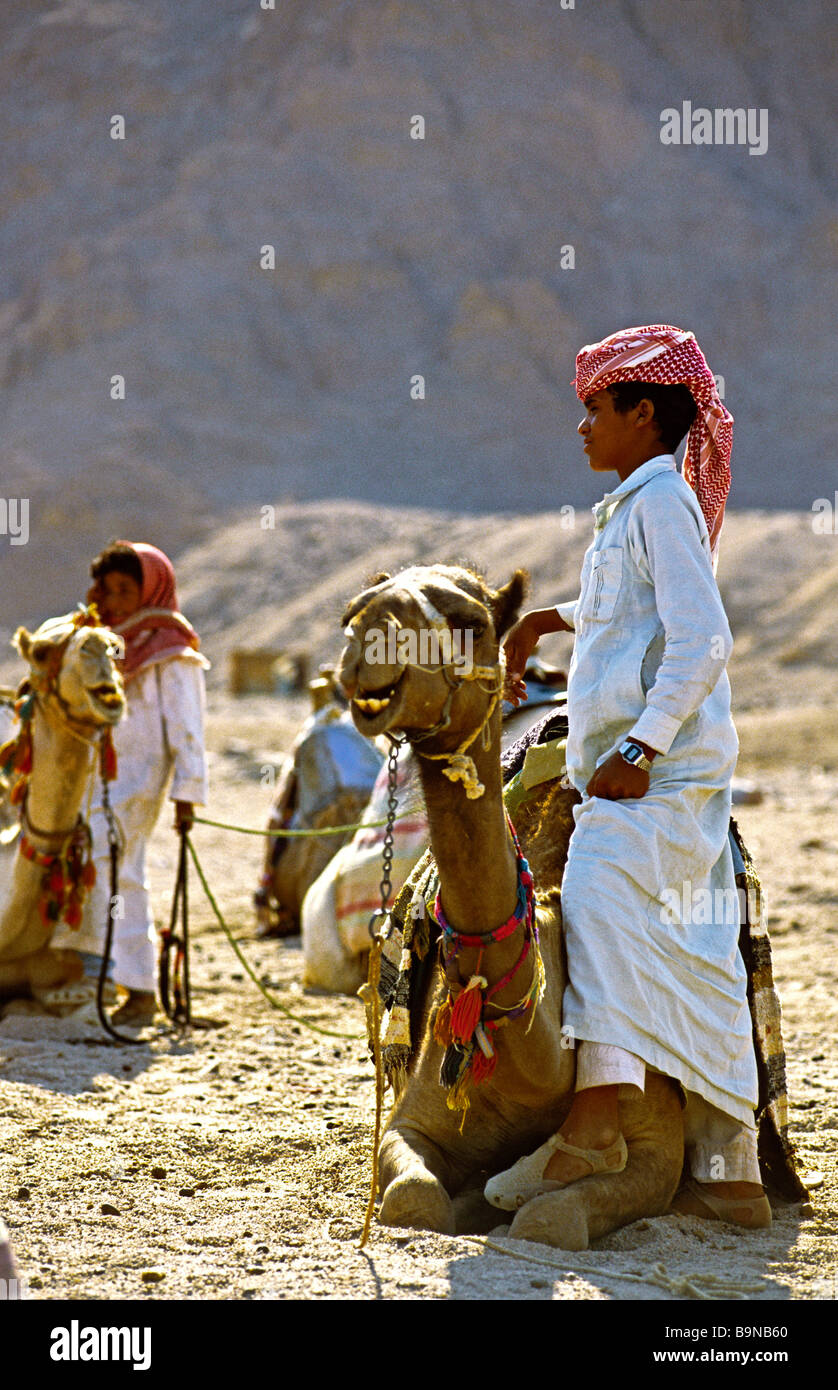 Egypt, Bedouin camel riders desert near Hurghada Stock Photo - Alamy