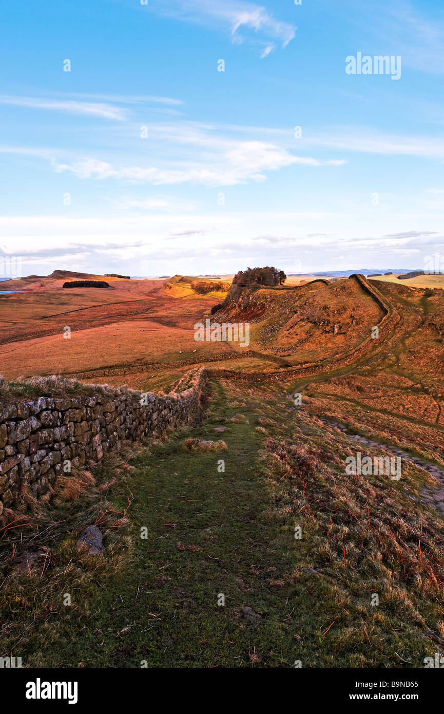 Hadrian's Wall near Housesteads Northumberland Stock Photo - Alamy