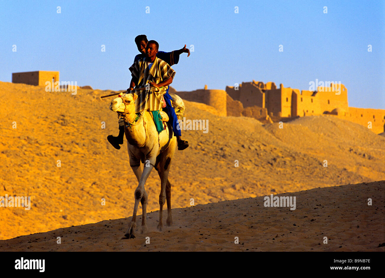 Egypt, Upper Egypt, Aswan, camel rider in the desert, Saint Simeon ...