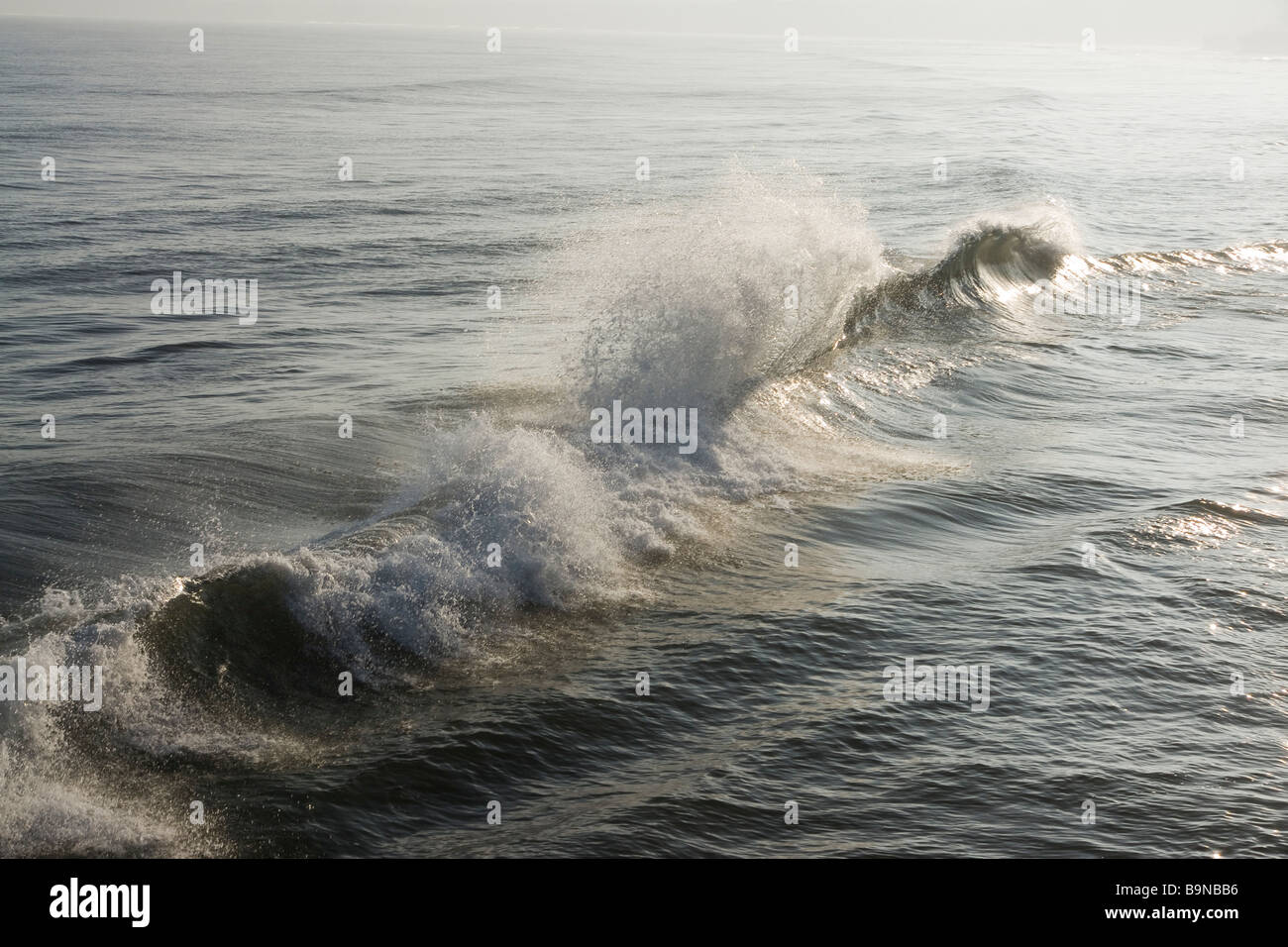 Large wave breaking on incoming tide Stock Photo - Alamy