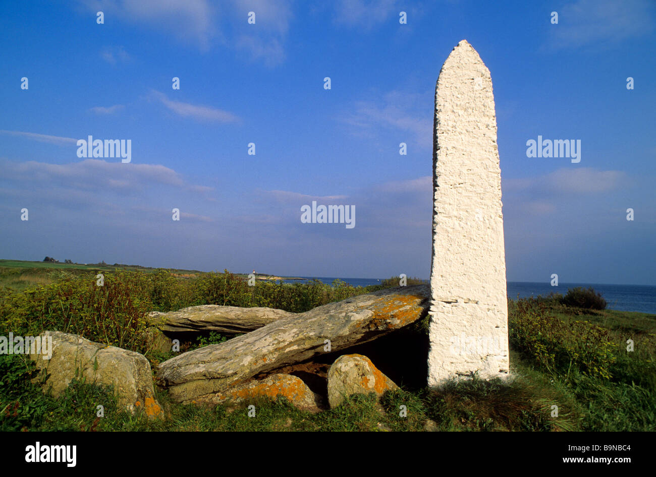France, Morbihan, Ile de Groix, natural reserve of Locmaria Stock Photo ...