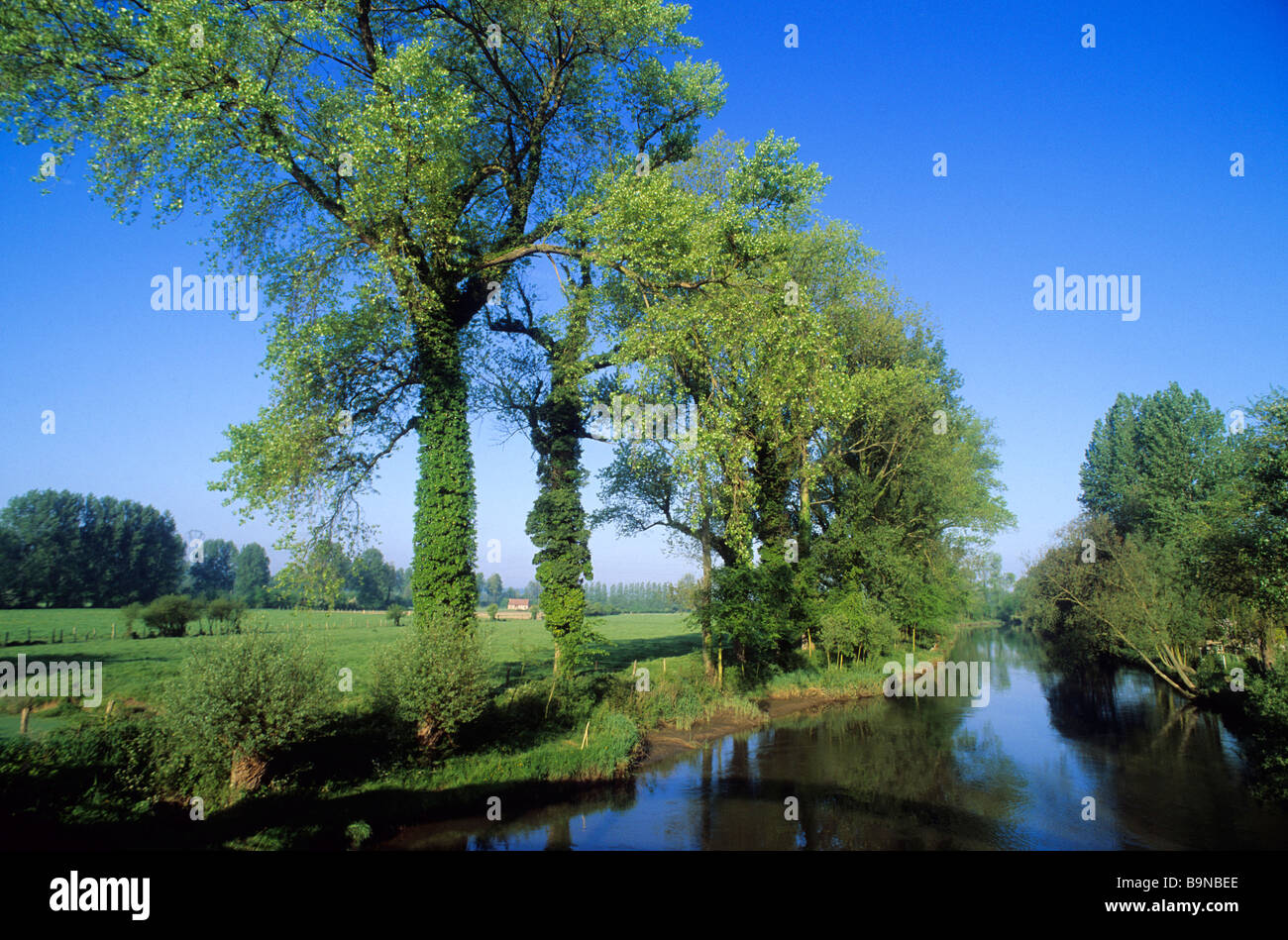 Canche river hi-res stock photography and images - Alamy