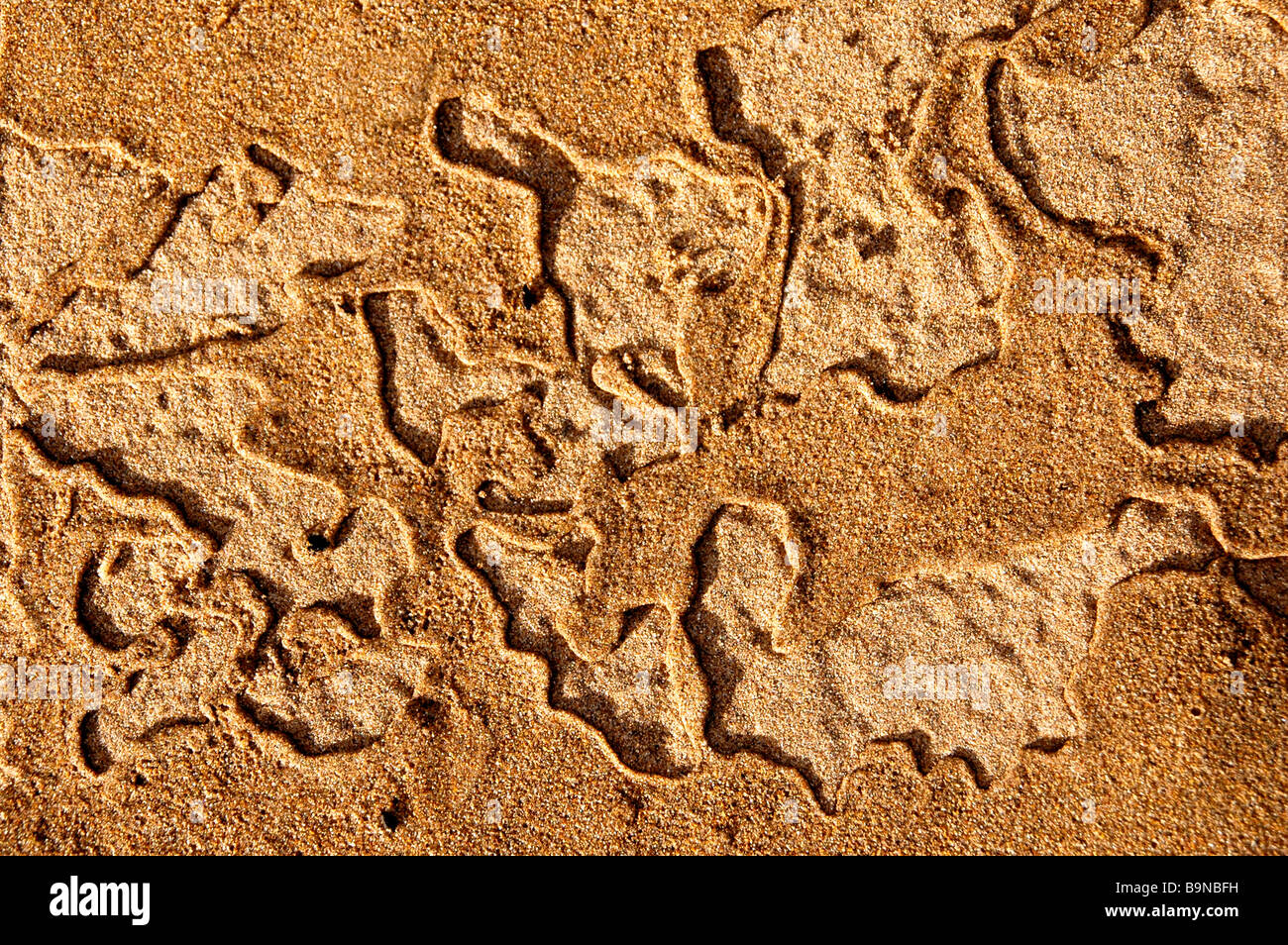 Squiggly sand patterns Stock Photo - Alamy
